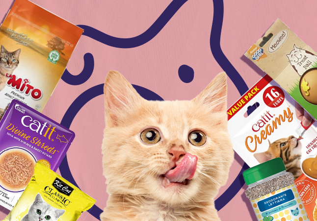 Pets & Accessories Qatar | Quality Supplies & Fast Delivery